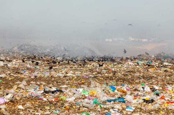 Burning trash piles in landfill Stock Photo by collab_media | PhotoDune