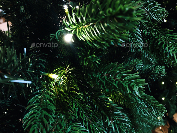 Christmas light on the tree Stock Photo by phoenixproduction | PhotoDune