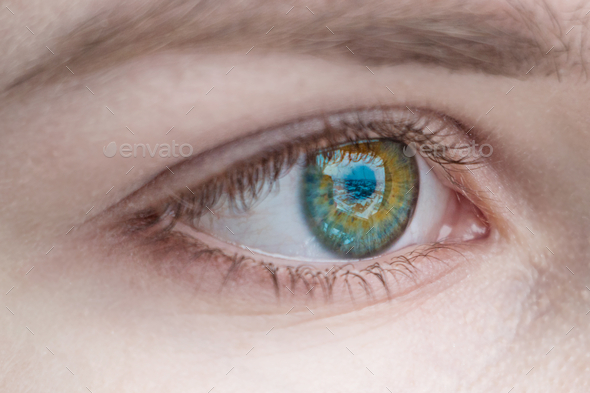 Female eye with green iris and long natural eyelashes close up Stock ...