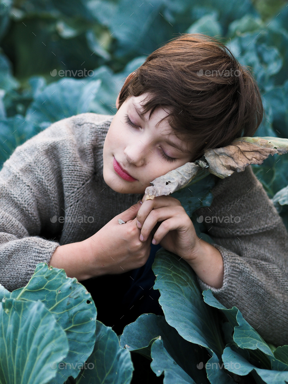 Cute little boy with closed eyes poising in the field with cabbage ...