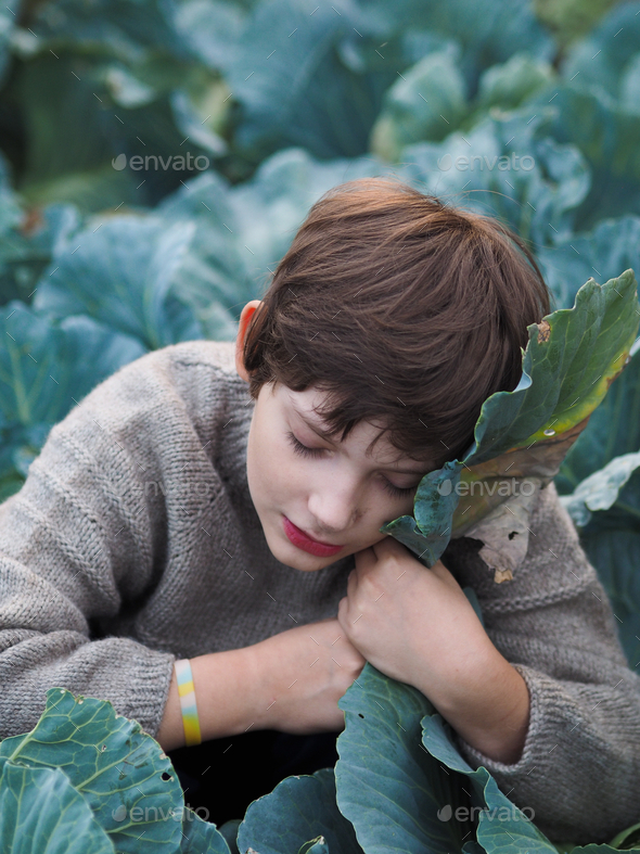 Cute little boy with closed eyes poising in the field with cabbage ...