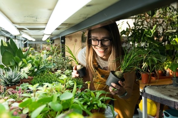 Houseplant growing business. Female gardener, florist grow plants in ...