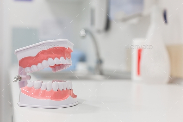 Dental fake mouth. Office dentist. Stock Photo by Chibelek | PhotoDune