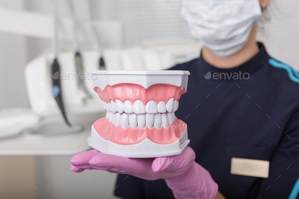 doctor shows how to brush teeth right Stock Photo by Chibelek | PhotoDune