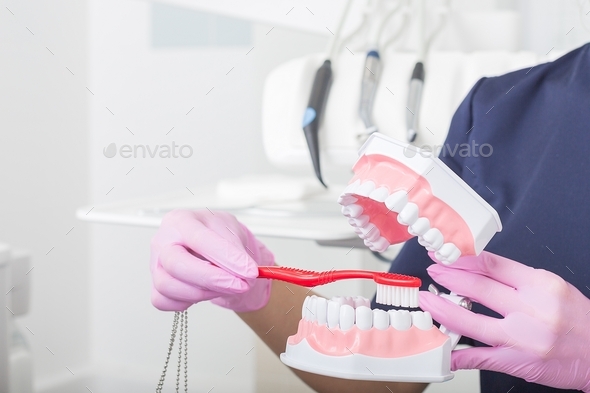 doctor shows how to brush teeth right Stock Photo by Chibelek | PhotoDune