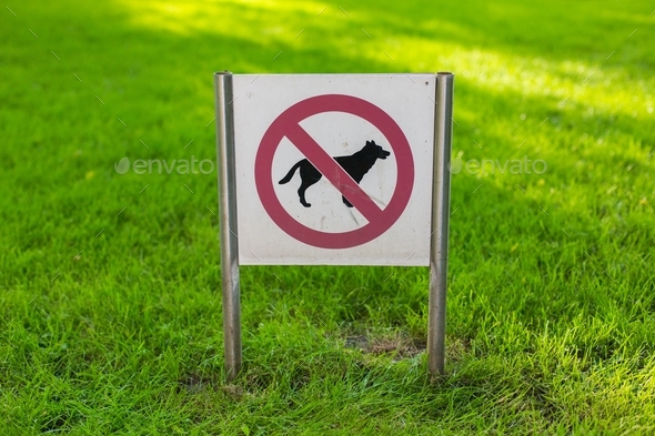 no dog walking sign, no dogs allowed. Sign in a park dogs forbidden. No ...