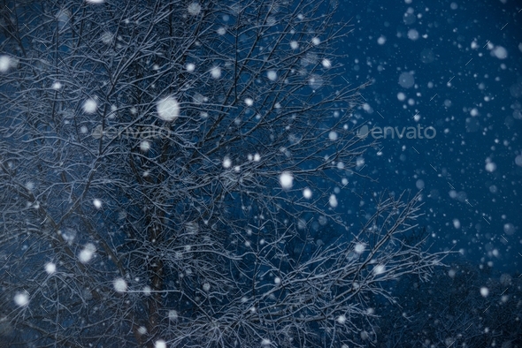 Snow falling at dusk, background, wallpaper Stock Photo by rohaneh