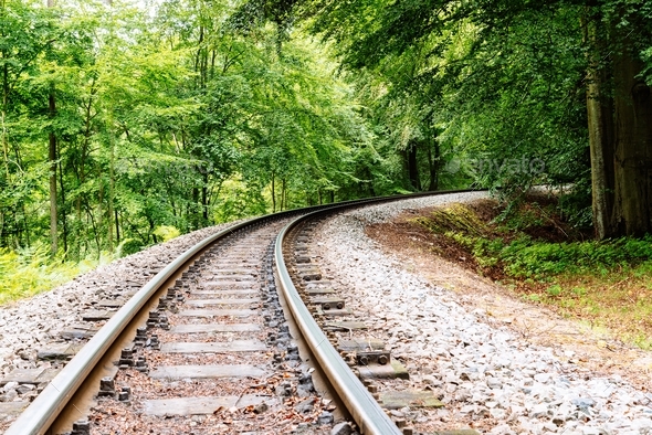 Narrow-gauge railway in woodland area Stock Photo by JJFarquitectos