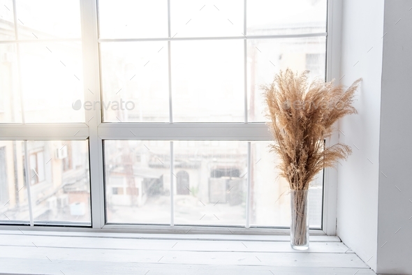Glass vase with pampas grass dried reeds stands by large panoramic ...