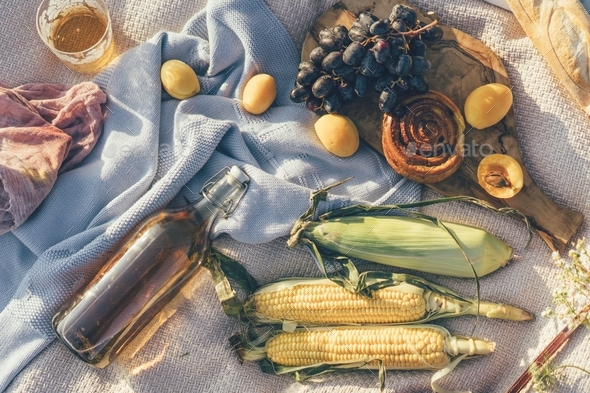 top view of picnic foods on a blanket Stock Photo by titovailona ...