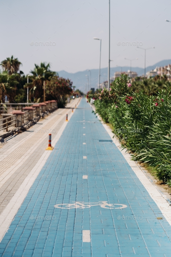 Cycling blue path with sign among greenery Stock Photo by diignat