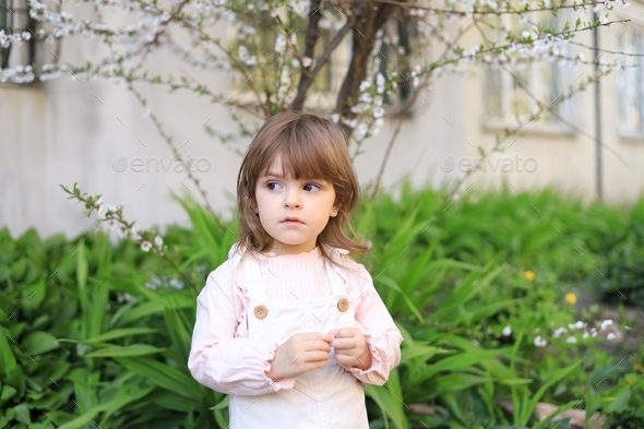 A cute little kid - a girl 2-3 years old - stands near a blooming ...