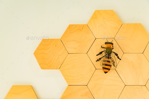 Indoor design. Wall decor with wooden panels in shape of honeycomb with ...