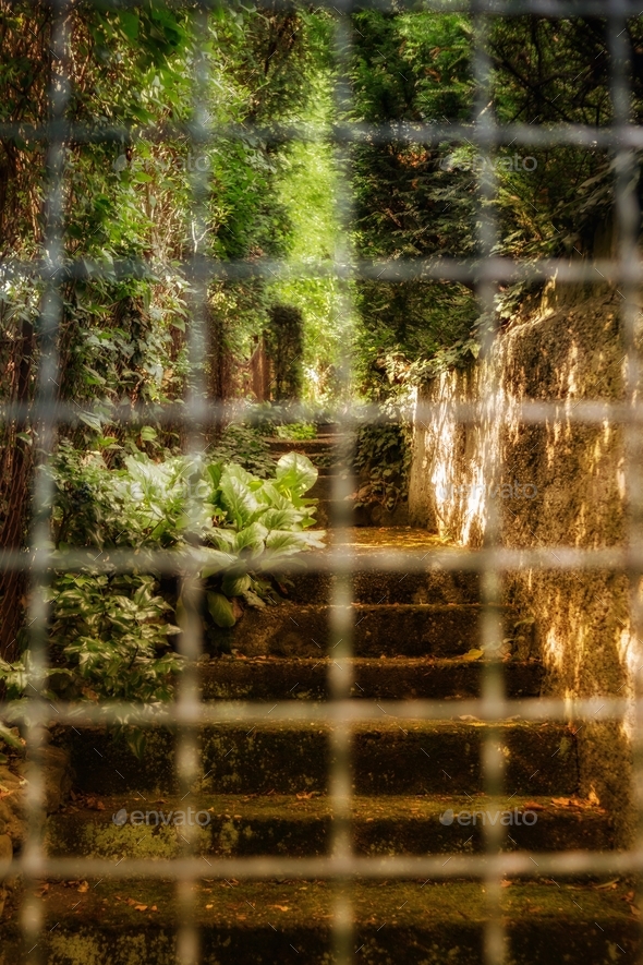Mesh fence sub frame to stairs Stock Photo by LittleIvan | PhotoDune
