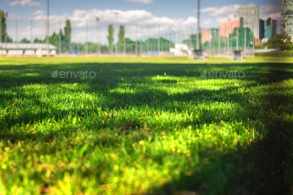 Low angle of soccer field lawn Stock Photo by LittleIvan | PhotoDune