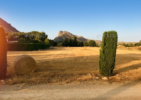 Rural scene hayfield and hay ball in Spain Stock Photo by LittleIvan