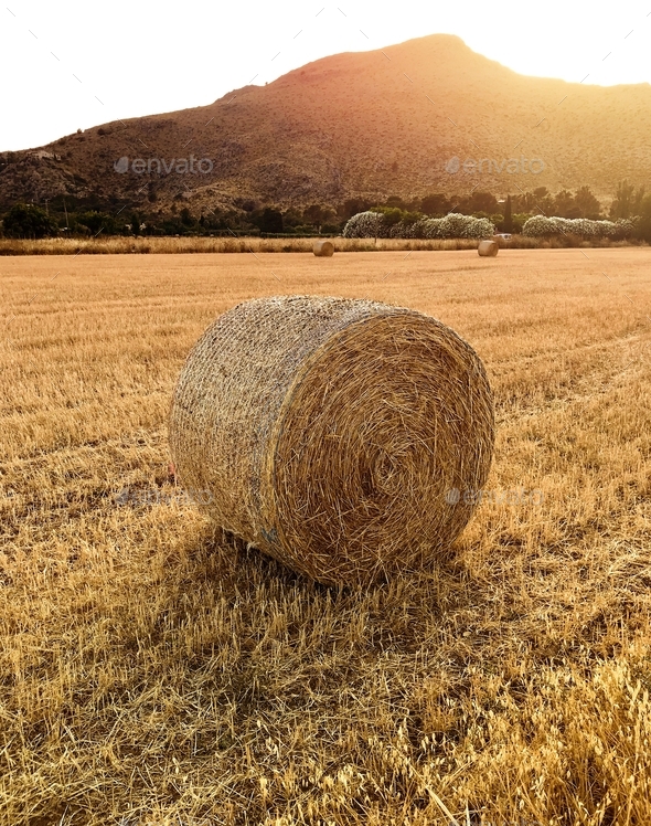 Rural scene hayfield and hay ball in Spain Stock Photo by LittleIvan