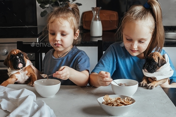 Children and pets dogs in the same family, their friendship and love ...