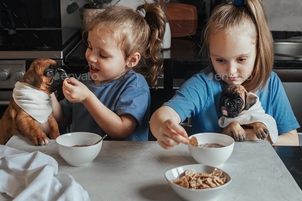 Games of children and dogs at home, humanization of pets Stock Photo by ...
