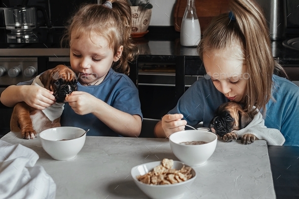 Children and pets dogs in the same family, their friendship and love ...