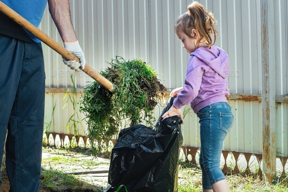 adults and children do household chores together, clean the leaves in ...