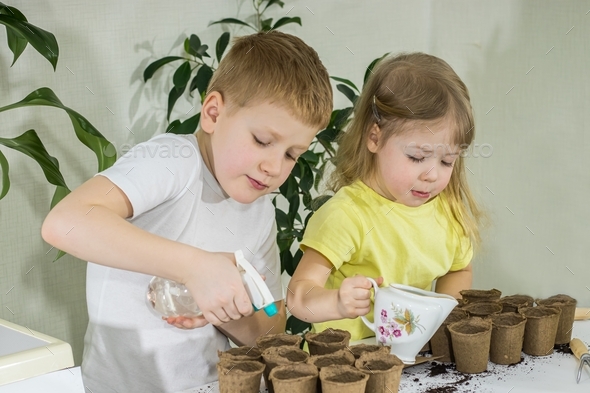 Children watering seeds just planted in pots with ground at home Stock ...