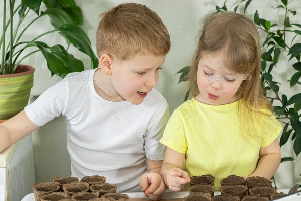 Children planting seeds into pots with ground for seedlings to the new ...