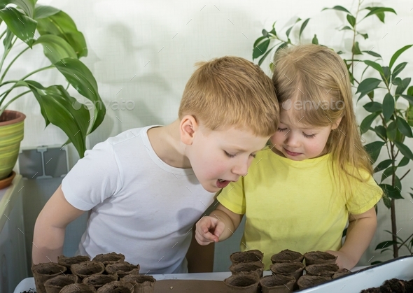 Children planting seeds into pots with ground for seedlings to the new ...