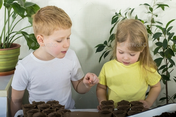 Children planting seeds into pots with ground for seedlings to the new ...