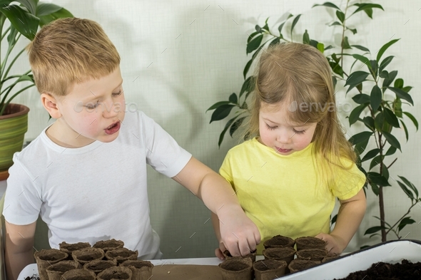 Children planting seeds into pots with ground for seedlings to the new ...