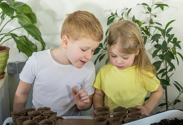 Children planting seeds into pots with ground for seedlings to the new ...