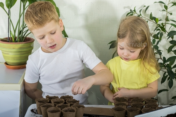Children planting seeds into pots with ground for seedlings to the new ...