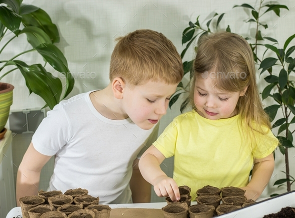 Children planting seeds into pots with ground for seedlings to the new ...