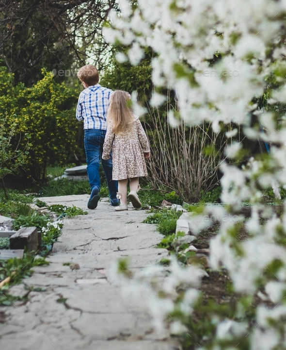 Two children from behind on the frontground of flowering trees in ...