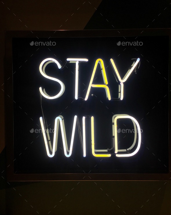 Neon sign saying “stay wild” black background Stock Photo by reinasmyth