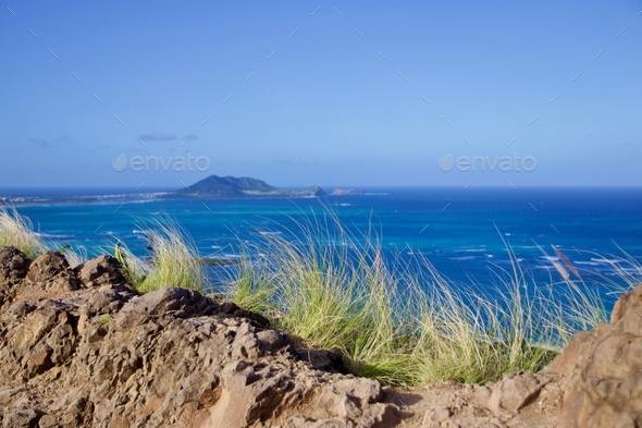 grasses in front of beautiful blue ocean and coastline Stock Photo by ...