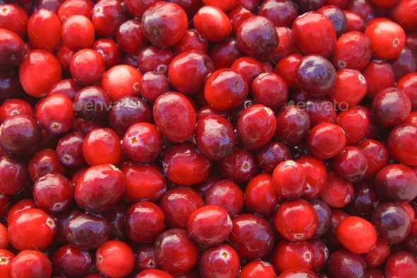 Full frame natural background of bright red cranberries Stock Photo by ...