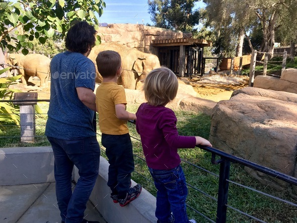 Family at the zoo looking at animals Stock Photo by reinasmyth | PhotoDune