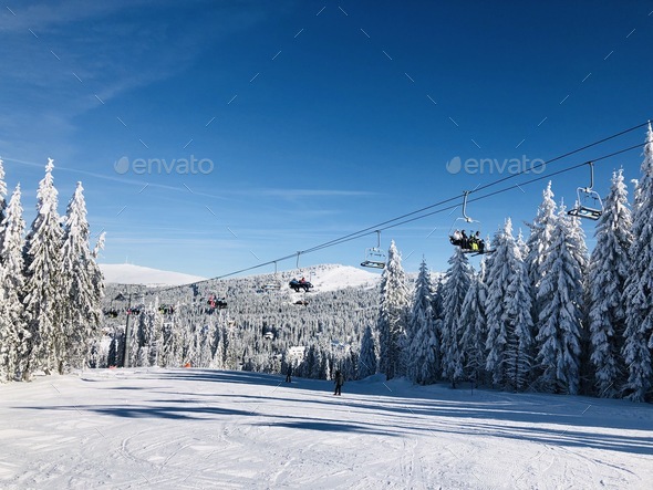 Ski lift over forest of evergreen trees covered in snow on a day with ...