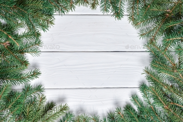 The layout of the frame made of spruce branches. Stock Photo by bycorinka