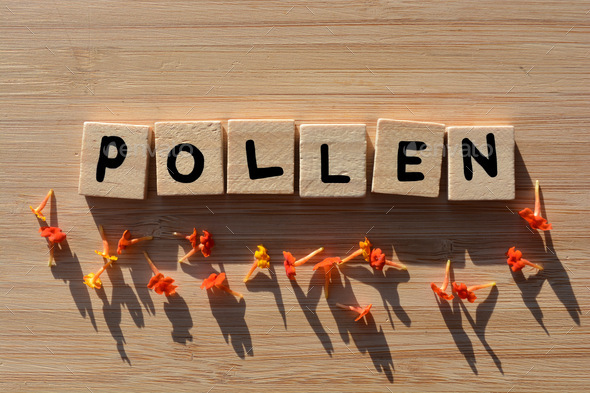 pollen, word in wooden alphabet letters with orange and yellow lantana ...