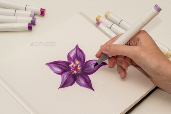 Hand drawing purple flower sketch with alcohol based sketch drawing ...