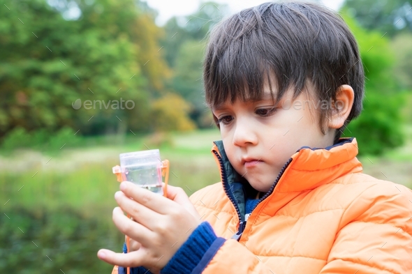 Kid catching creatures in pond, boy looking at inect in bug box,Child ...