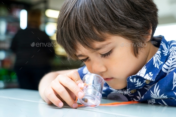 boy looking at lady bug crawling in bug box, Child adventures ...