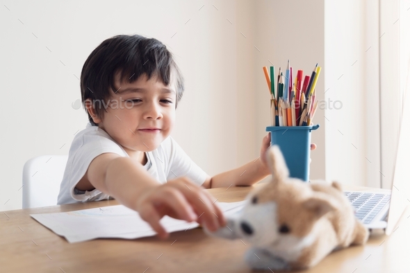 boy playing with dog toy while doing homework.School kid using colour ...