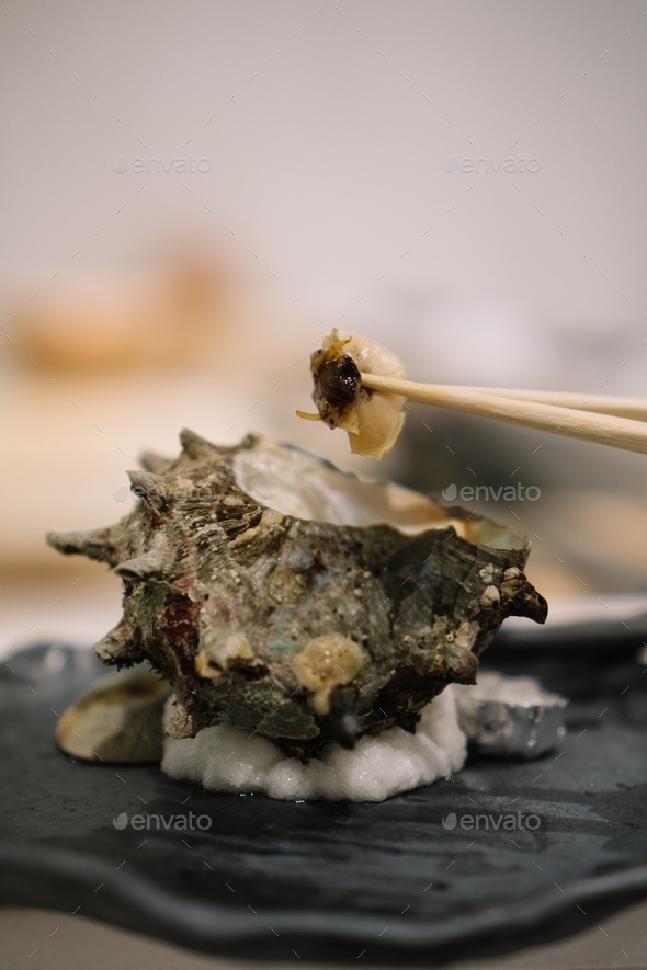 Conch on fire sashimi, Japanese food Stock Photo by wikornr | PhotoDune