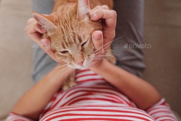 woman relaxing with her ginger pet on a sofa. Cosy scene, hygge concept ...
