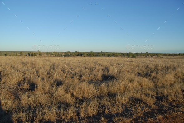 Outback Australia, flat, open landscape in the dry season, Queensland ...