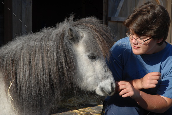 Pretty young girl with her cute pet, a miniature Falabella horse Stock ...