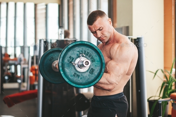Muscular male bodybuilder training hard at gym using heavy barbells ...